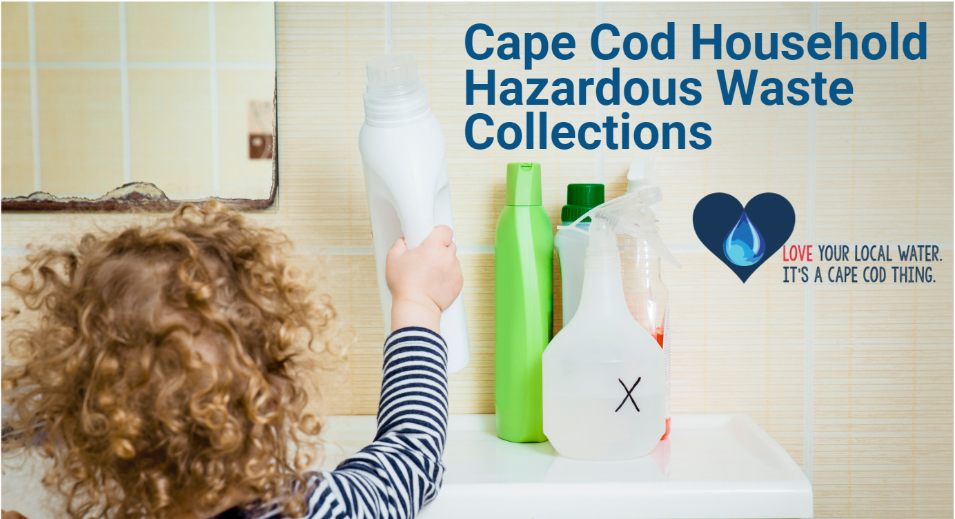 Earth Month on Cape Cod: How Barnstable County Is Caring for Our ...