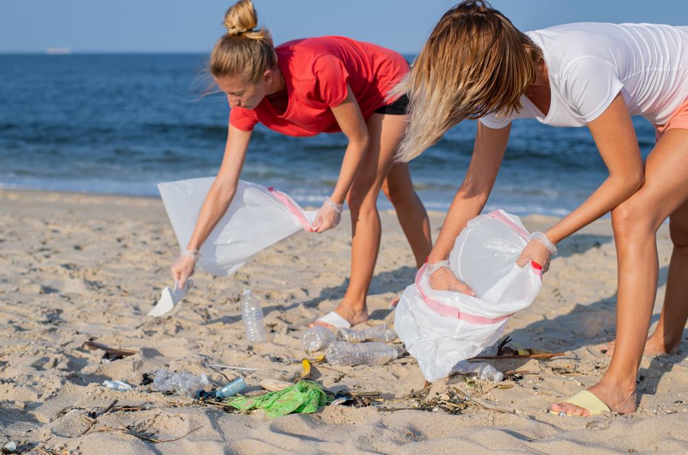 People Cleaning The Beach
