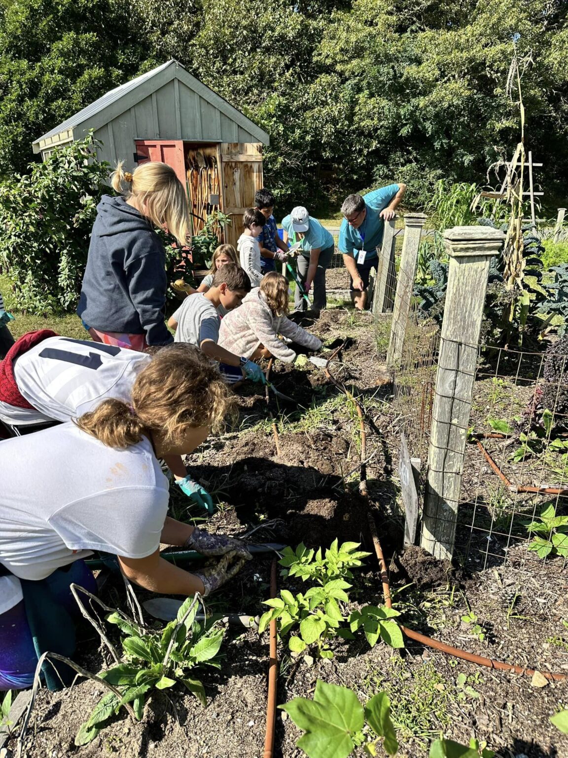 Cape Cod Cooperative Extension - Barnstable County