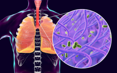 Pertussis (Whooping Cough) on the Cape & Islands - Barnstable County