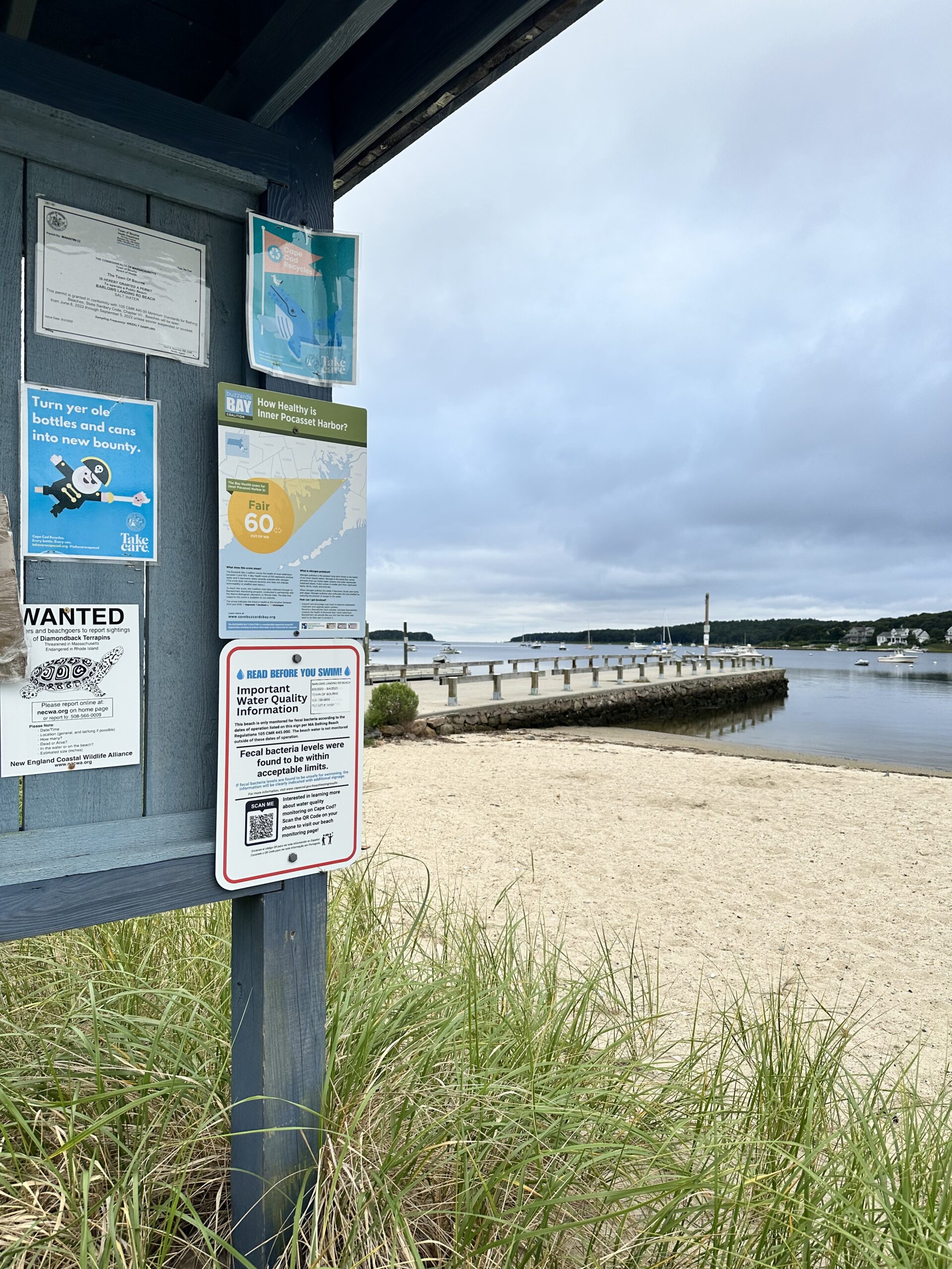 Bacteriological Monitoring 101: When is a Beach Closed to Swimming ...