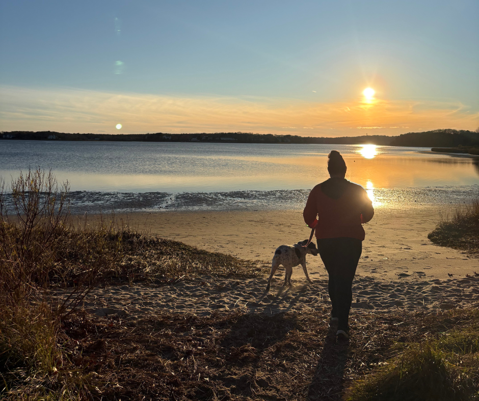 Why Vitamin D Matters During a New England Winter — Especially on Cape ...