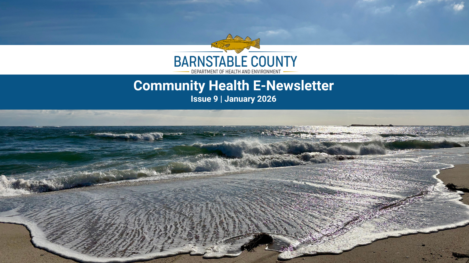 Community Health E-Newsletter | Issue 9 | January 2026 - Barnstable County