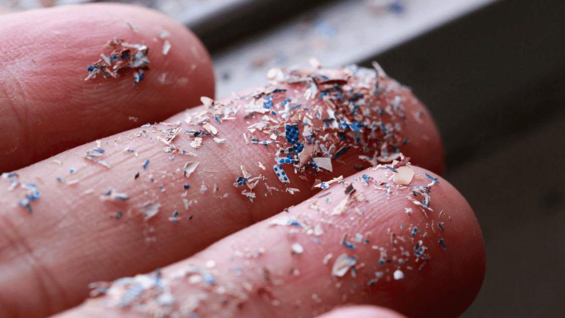 Microplastics and Your Health: What You Need to Know - Barnstable County
