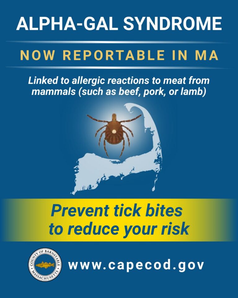 Massachusetts Makes Alpha-gal Syndrome Reportable; Lone Star Ticks ...